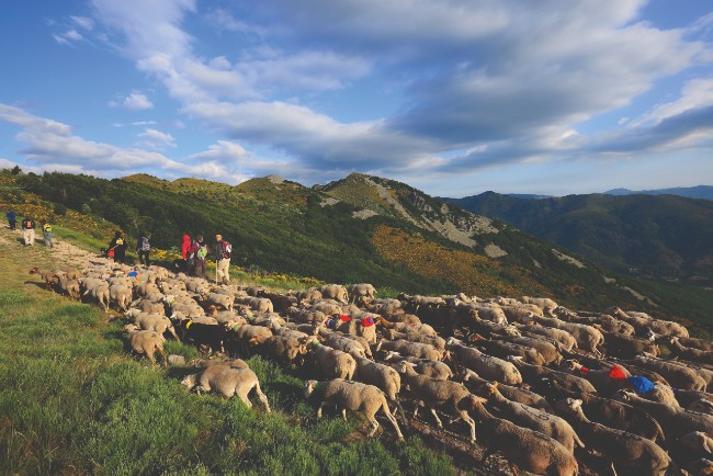 Ardèche: A World of Picture-Perfect Wonders - France Today